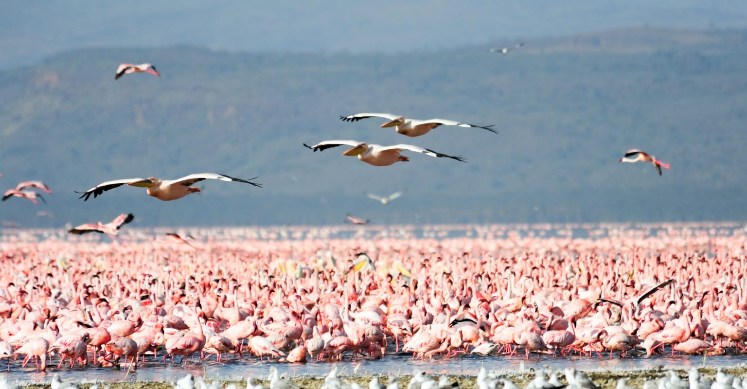 Parc national du lac Manyara | Tanzania Specialist