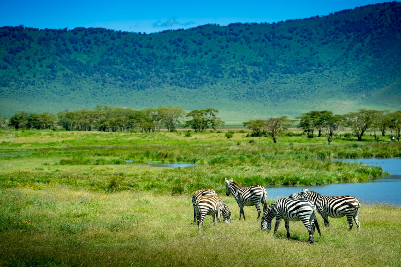 Lac Natron, paradis rouge des flamants roses | Tanzania Specialist