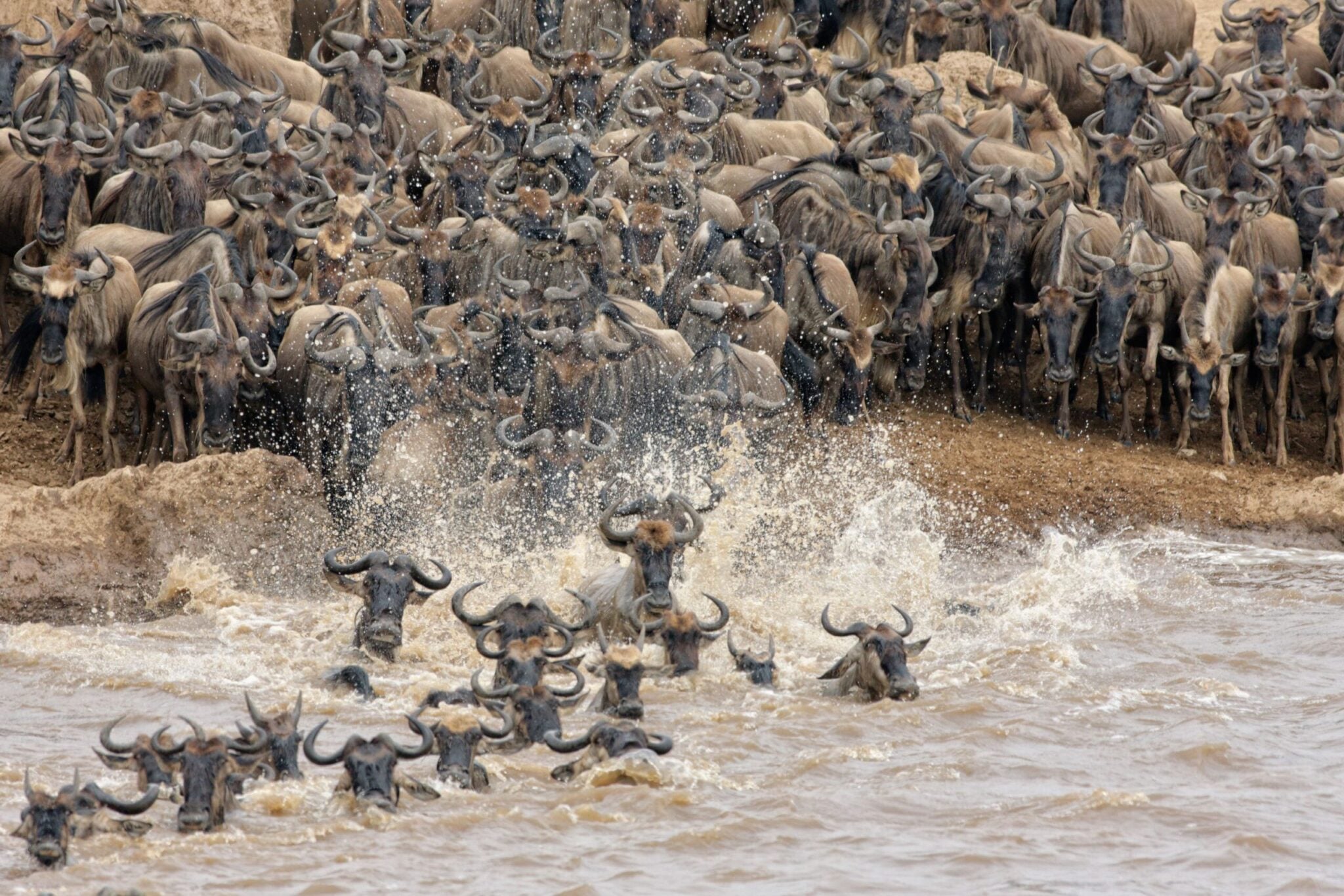 Lac Natron, paradis rouge des flamants roses | Tanzania Specialist