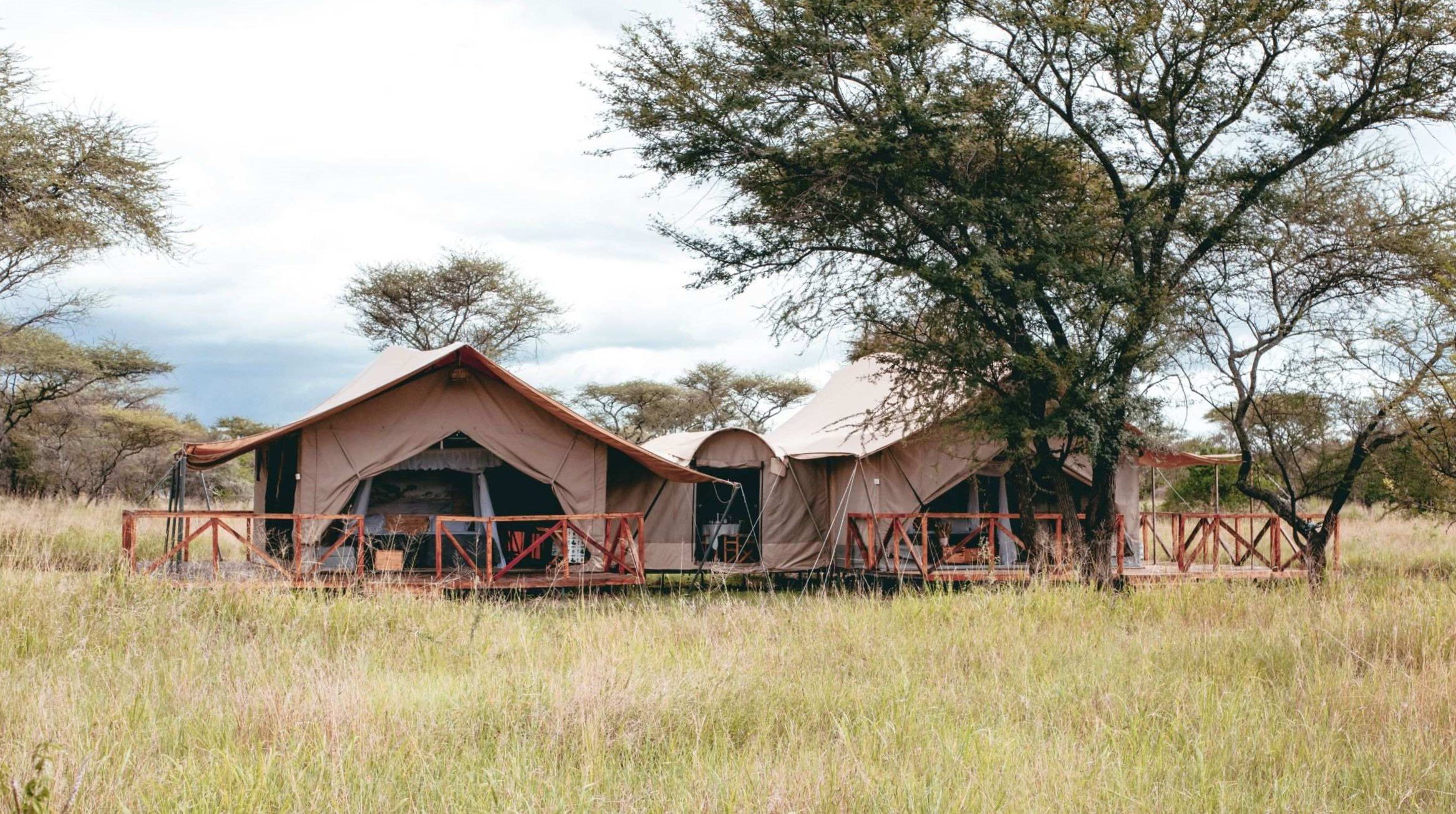 Pamoja Migration Camp - Ndutu | Tanzania Specialist